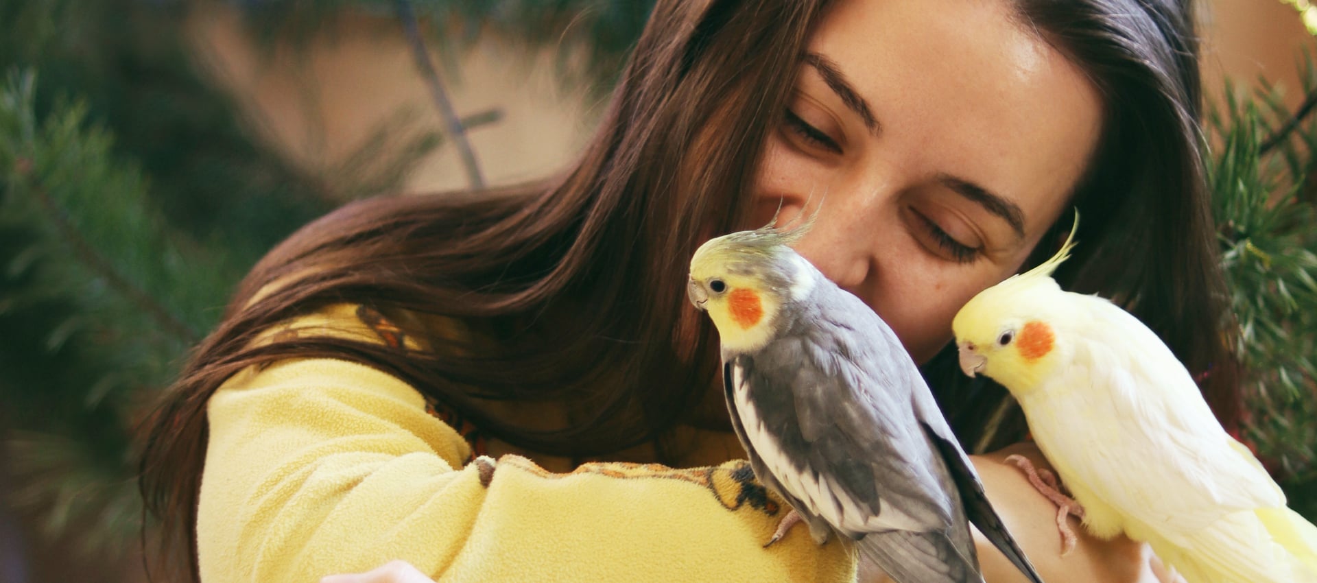 Companion Parrot Weight Chart - Hagen Avicultural Research Institute