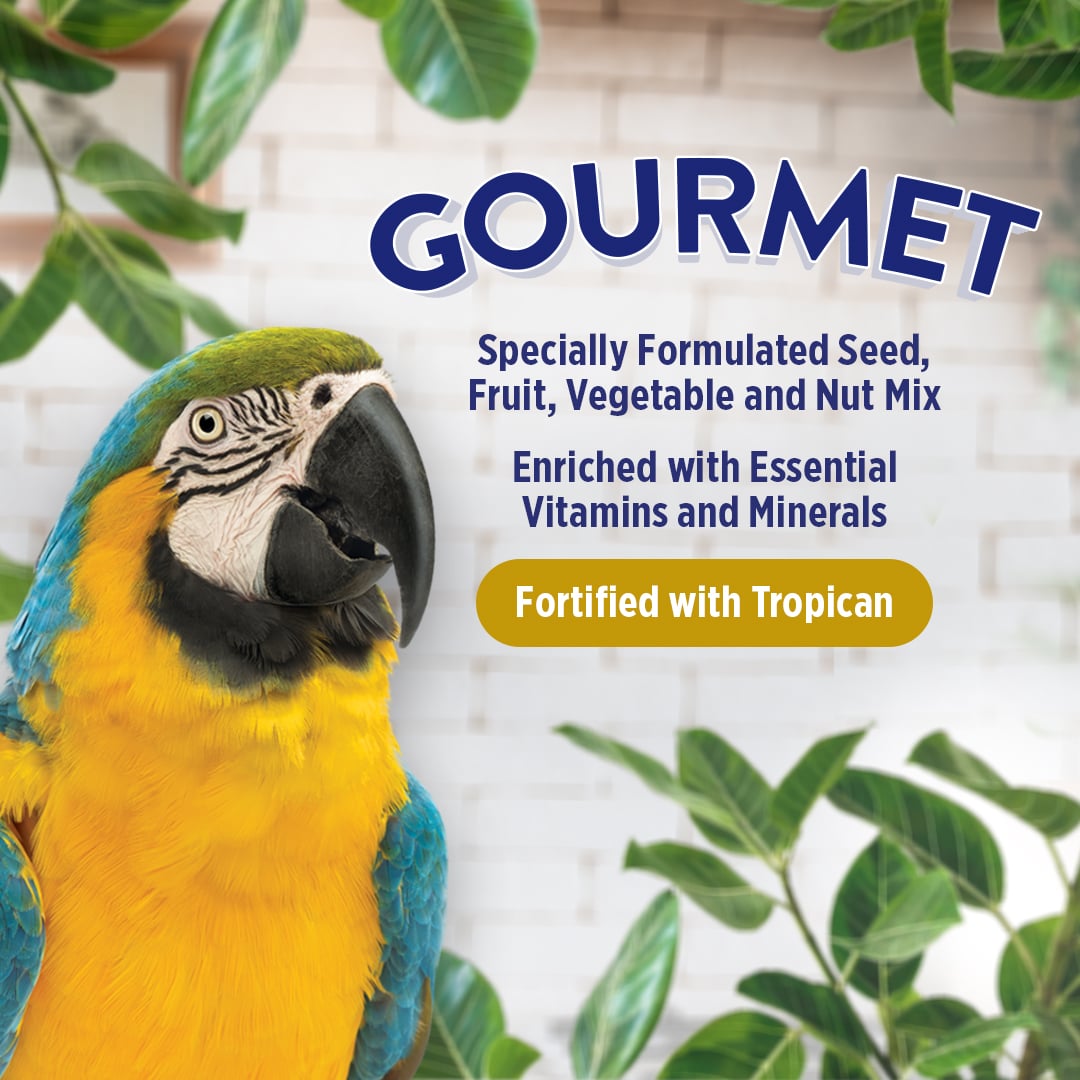 Premium Seed Blend for Large Parrots - Hagen Avicultural Research Institute