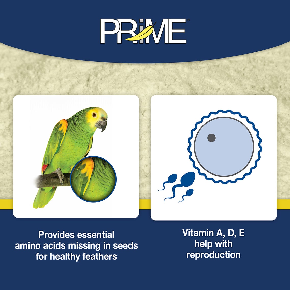 Vitamin Mineral Amino Acid Supplement for Birds - Hagen Avicultural ...