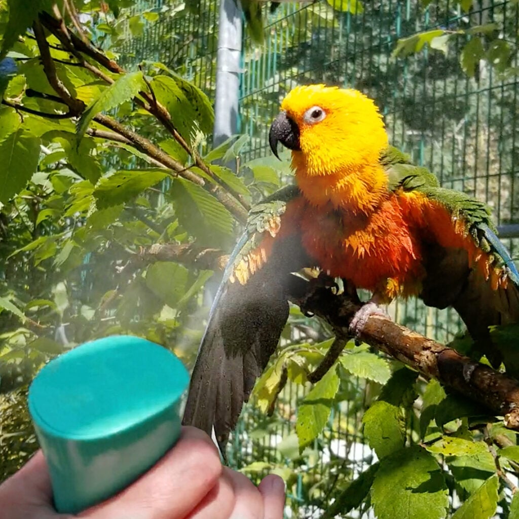 Feather Mister, Ultrafine misting bottle for birds - Hagen Avicultural ...